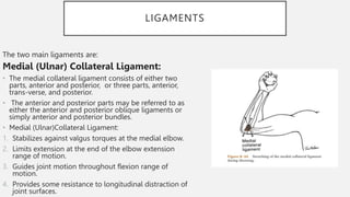 Elbow joint complex biomechanics physiotherapy.pptx