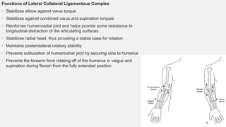 Elbow joint complex biomechanics physiotherapy.pptx