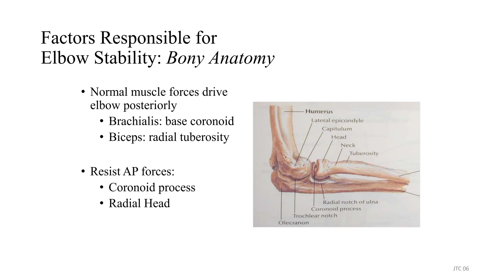 Elbow Anatomy and biomechanic powerpoint .pptx