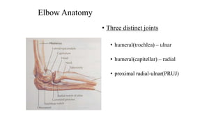 Elbow Anatomy and biomechanic powerpoint .pptx