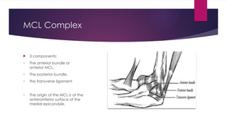 elbow dislocation classification and diagnosis. | PPTX
