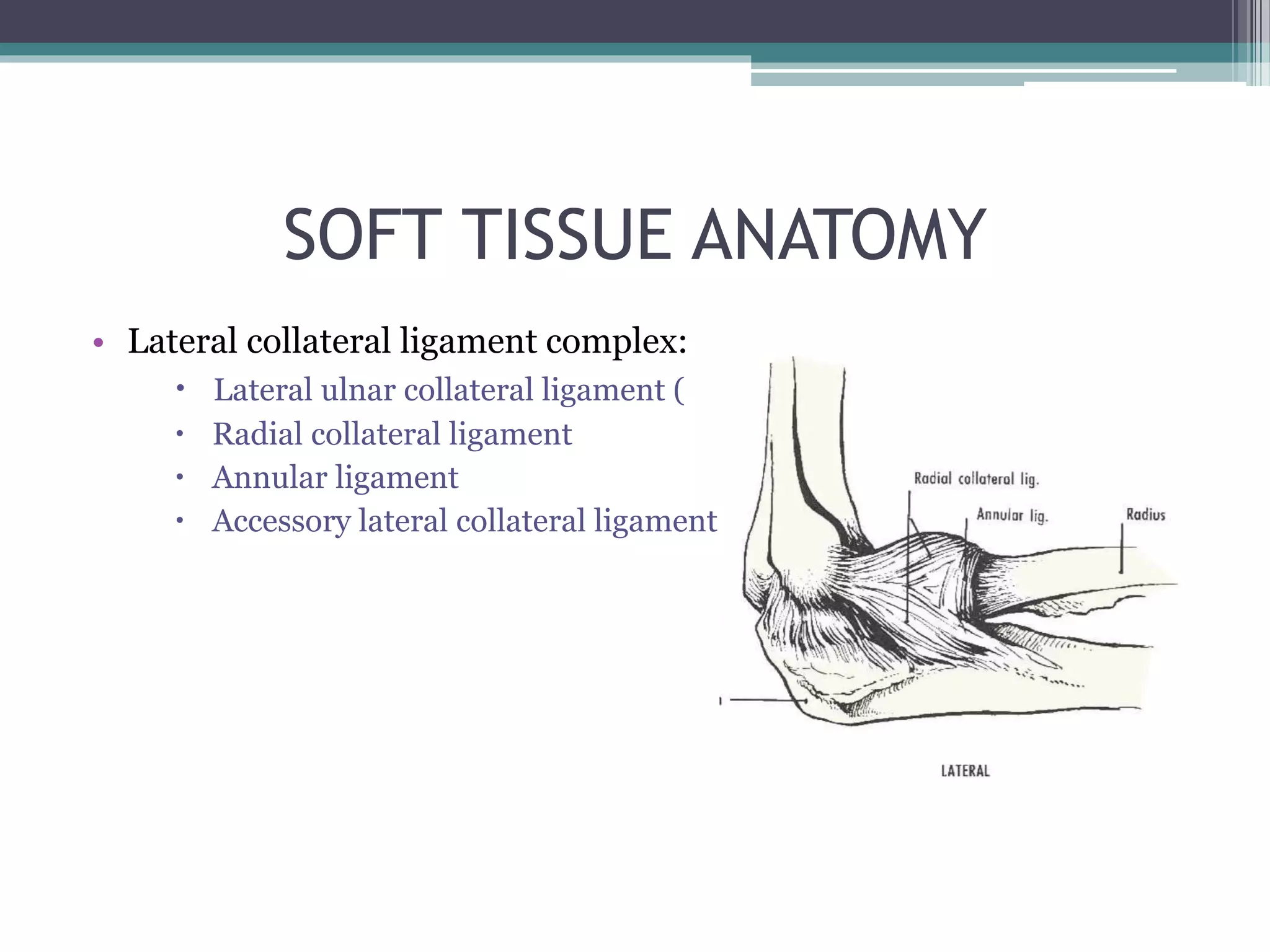 Elbow instability | PPTX