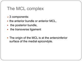 Anatomy and Biomechanics of the Elbow Joint | PPTX