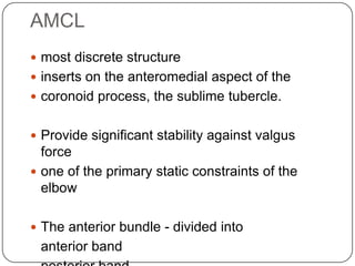 Anatomy and Biomechanics of the Elbow Joint | PPTX