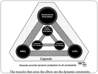 Anatomy and Biomechanics of the Elbow Joint | PPTX