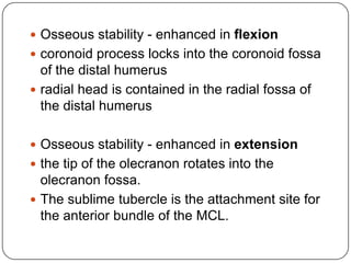 Anatomy and Biomechanics of the Elbow Joint | PPTX