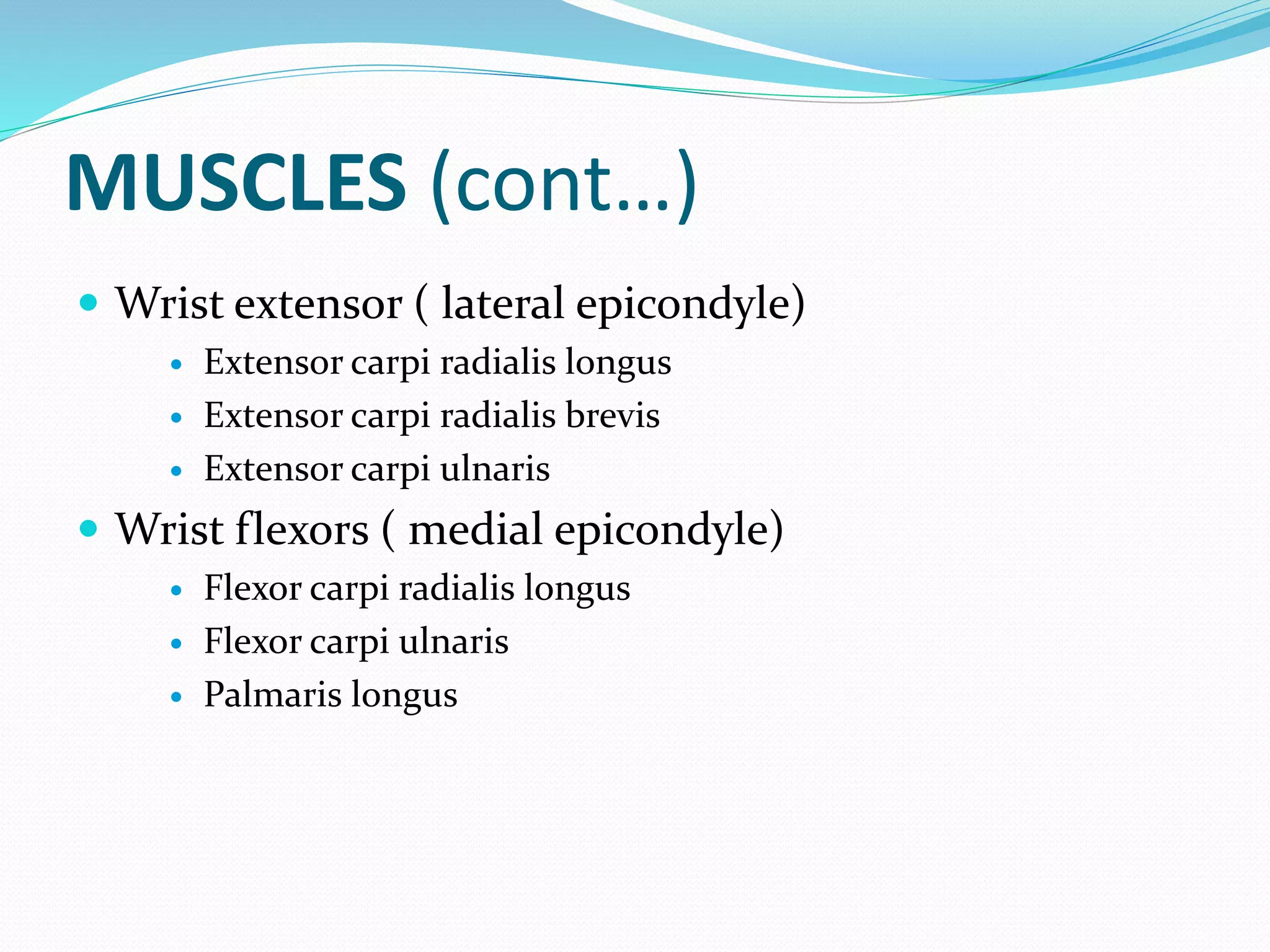 Examination, evaluation & Assessment of Elbow | PPTX