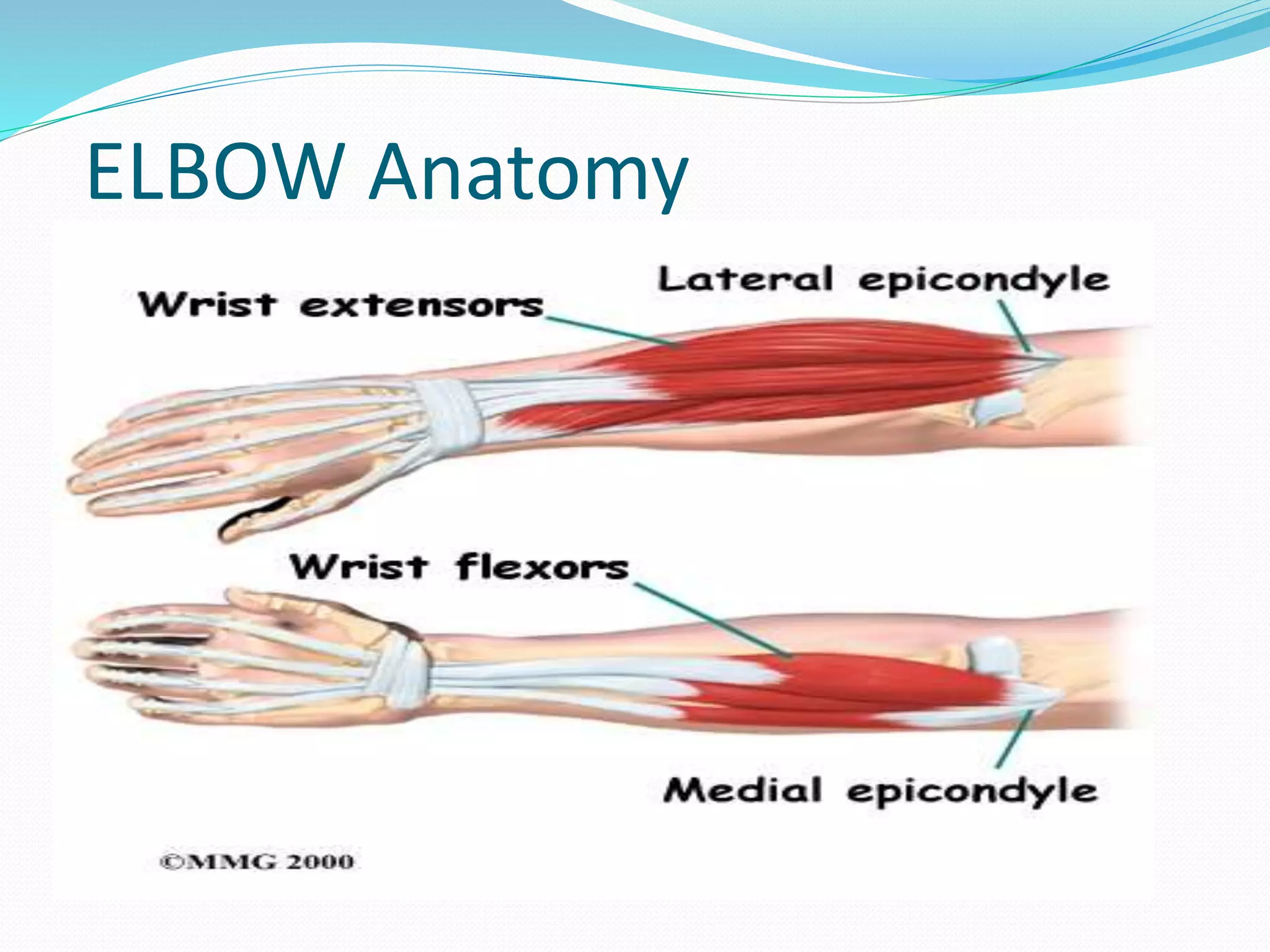 Examination, evaluation & Assessment of Elbow | PPTX