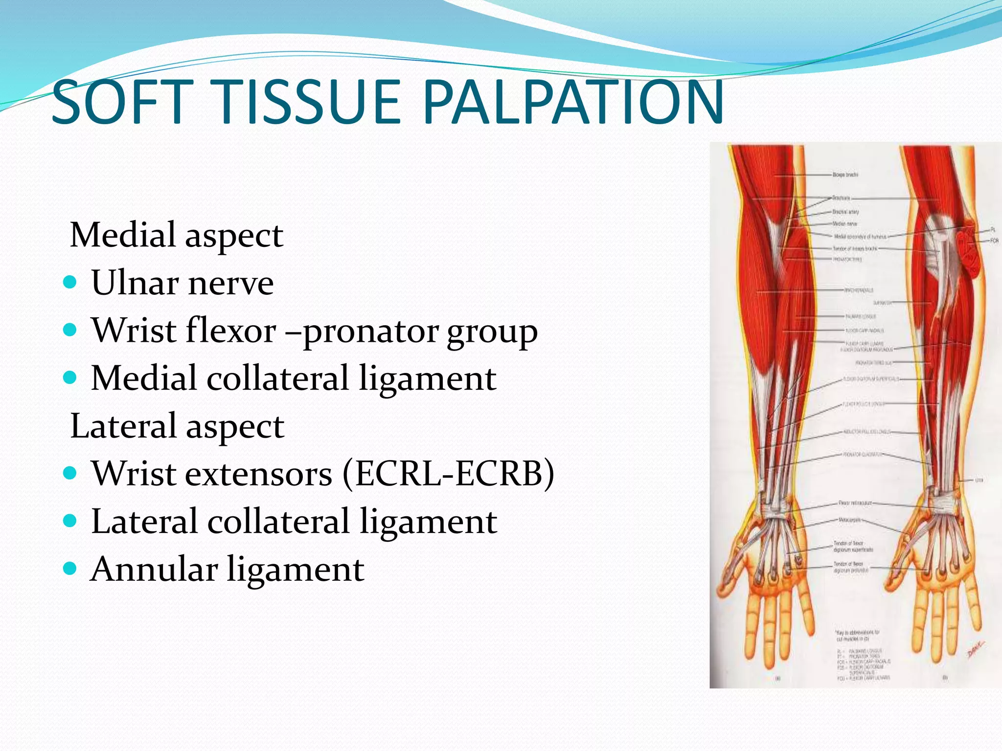 Examination, evaluation & Assessment of Elbow | PPTX