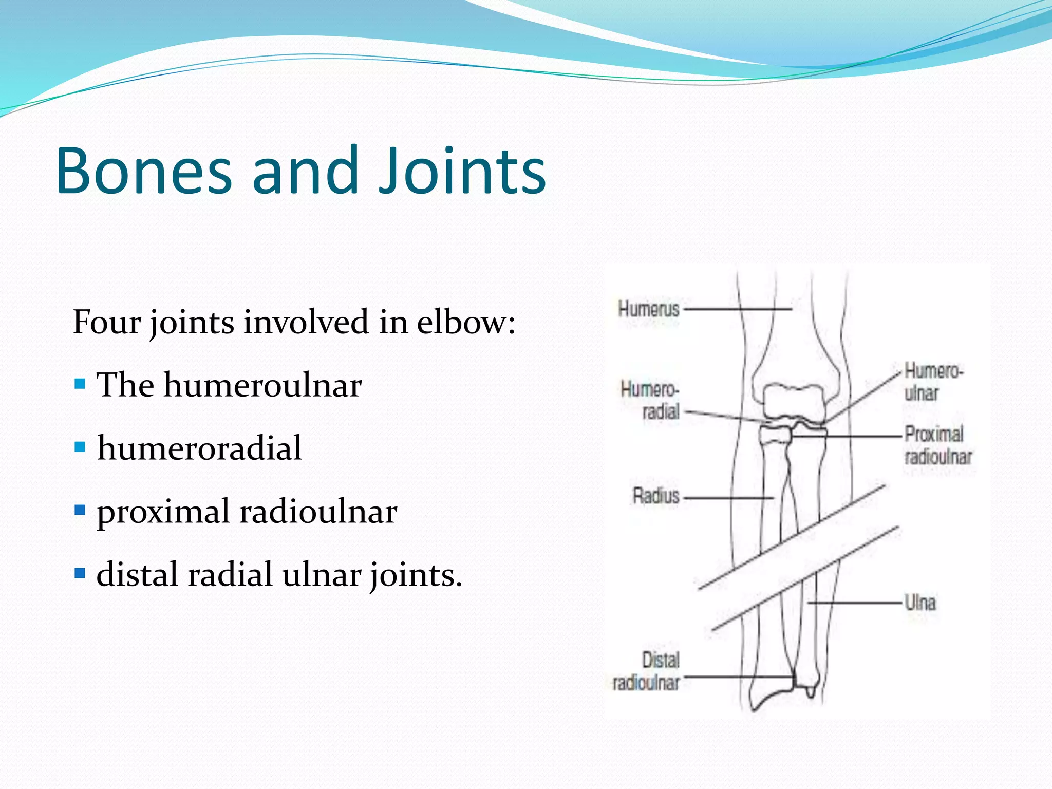 Examination, evaluation & Assessment of Elbow | PPTX