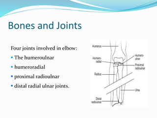 Examination, evaluation & Assessment of Elbow | PPTX