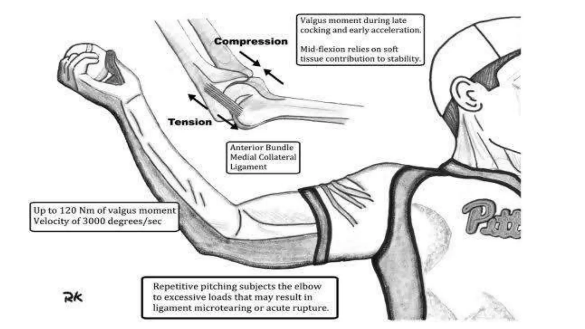 ELBOW INJURY AND TERRIBLE TRAID.pptx