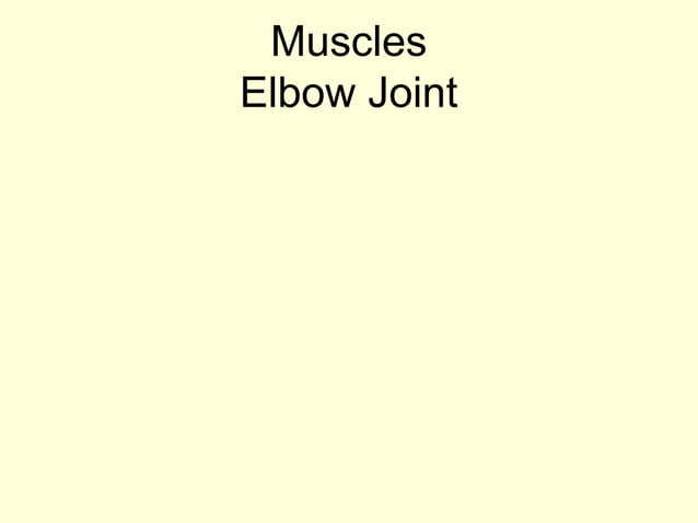 Elbow Anatomy Elbow Anatomy Elbow Anatomy | PPT