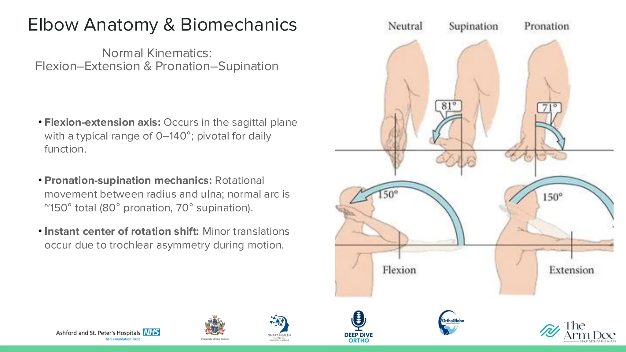 Elbow Anatomy & Biomechanics and related pathologies | PDF