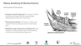 Elbow Anatomy & Biomechanics and related pathologies | PDF