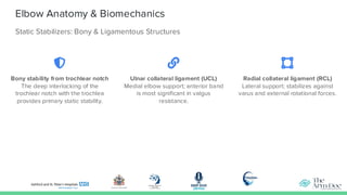 Elbow Anatomy & Biomechanics and related pathologies | PDF