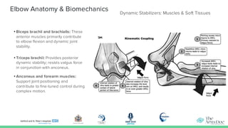 Elbow Anatomy & Biomechanics and related pathologies | PDF