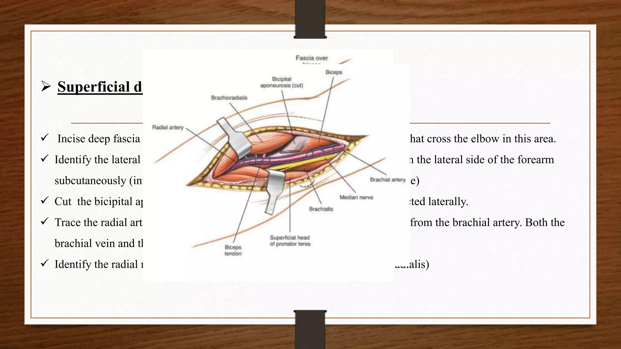 ELBOW Orthopedic Surgical Approaches | PPTX