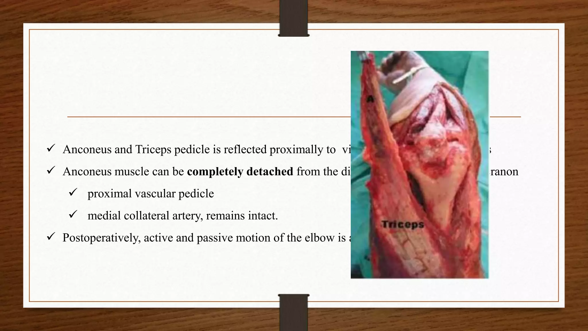ELBOW Orthopedic Surgical Approaches | PPTX