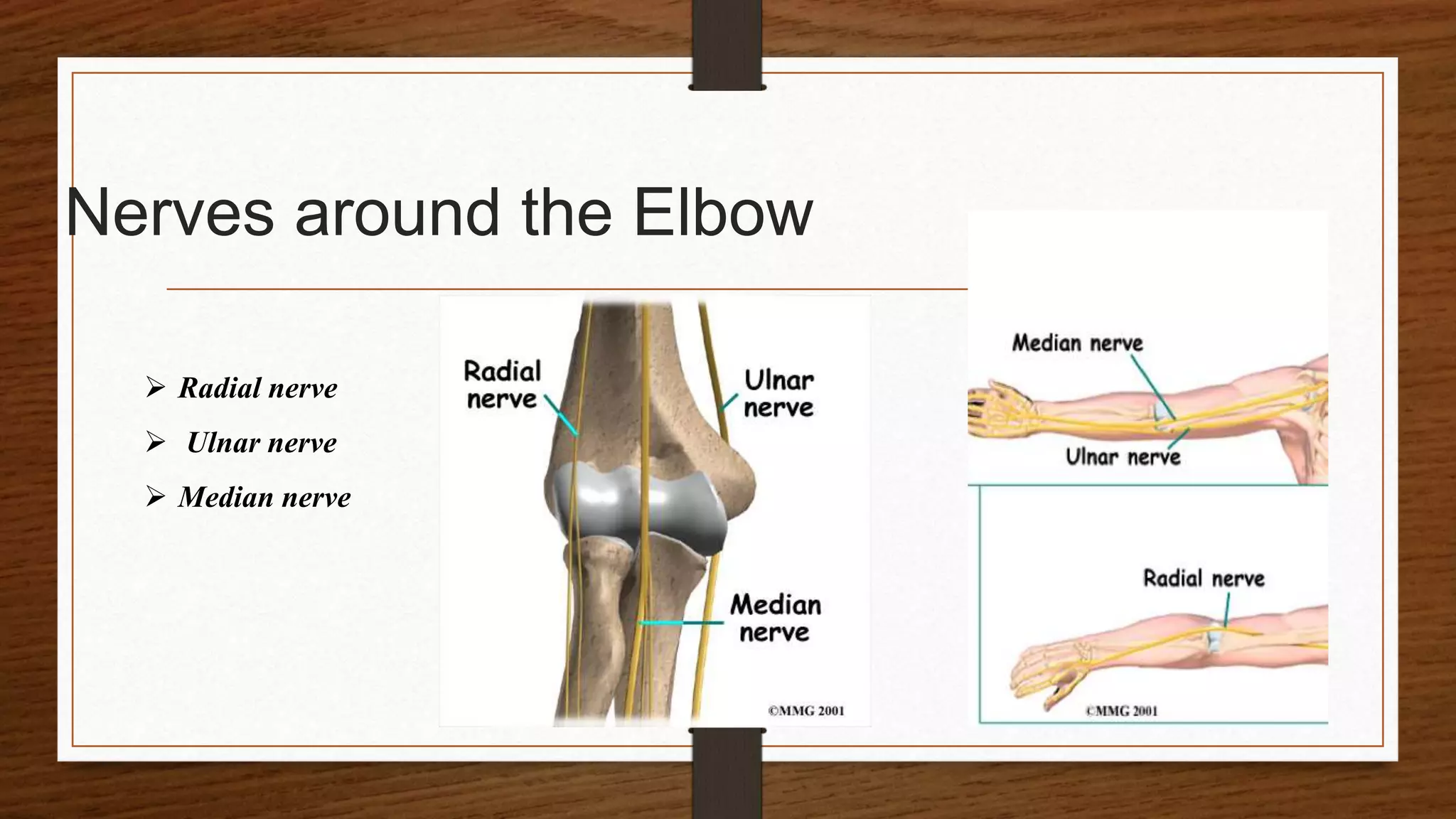 ELBOW Orthopedic Surgical Approaches | PPTX