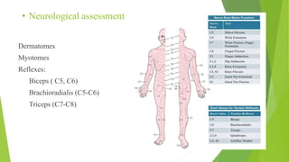 Elbow joint Assessment.pptx
