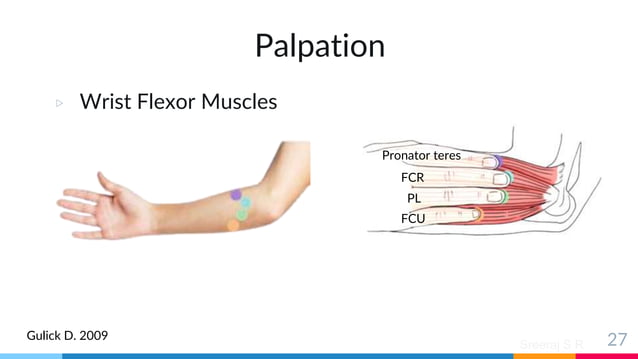 Assessment of the Elbow | PPT