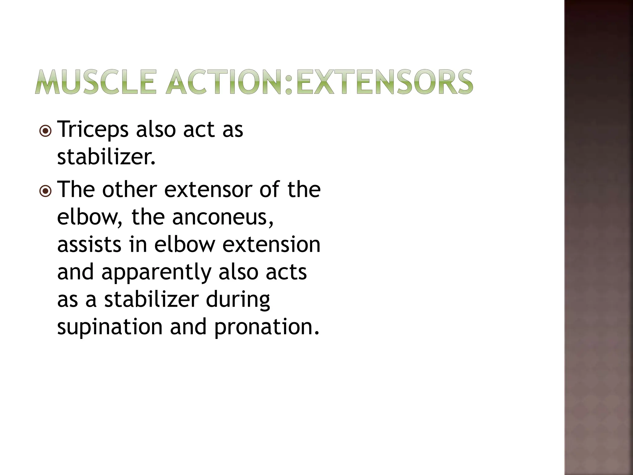 elbow biomechanics.pptx