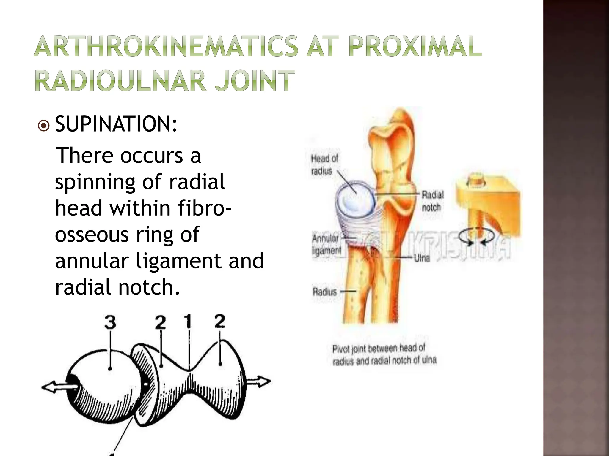 elbow biomechanics.pptx