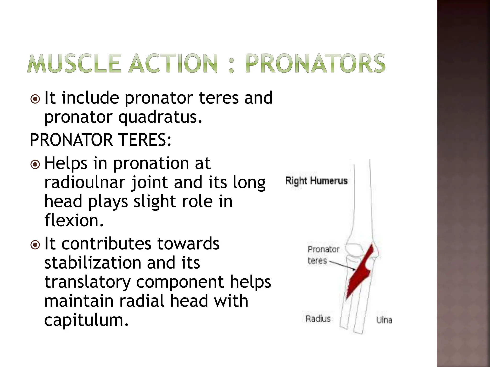 elbow biomechanics.pptx