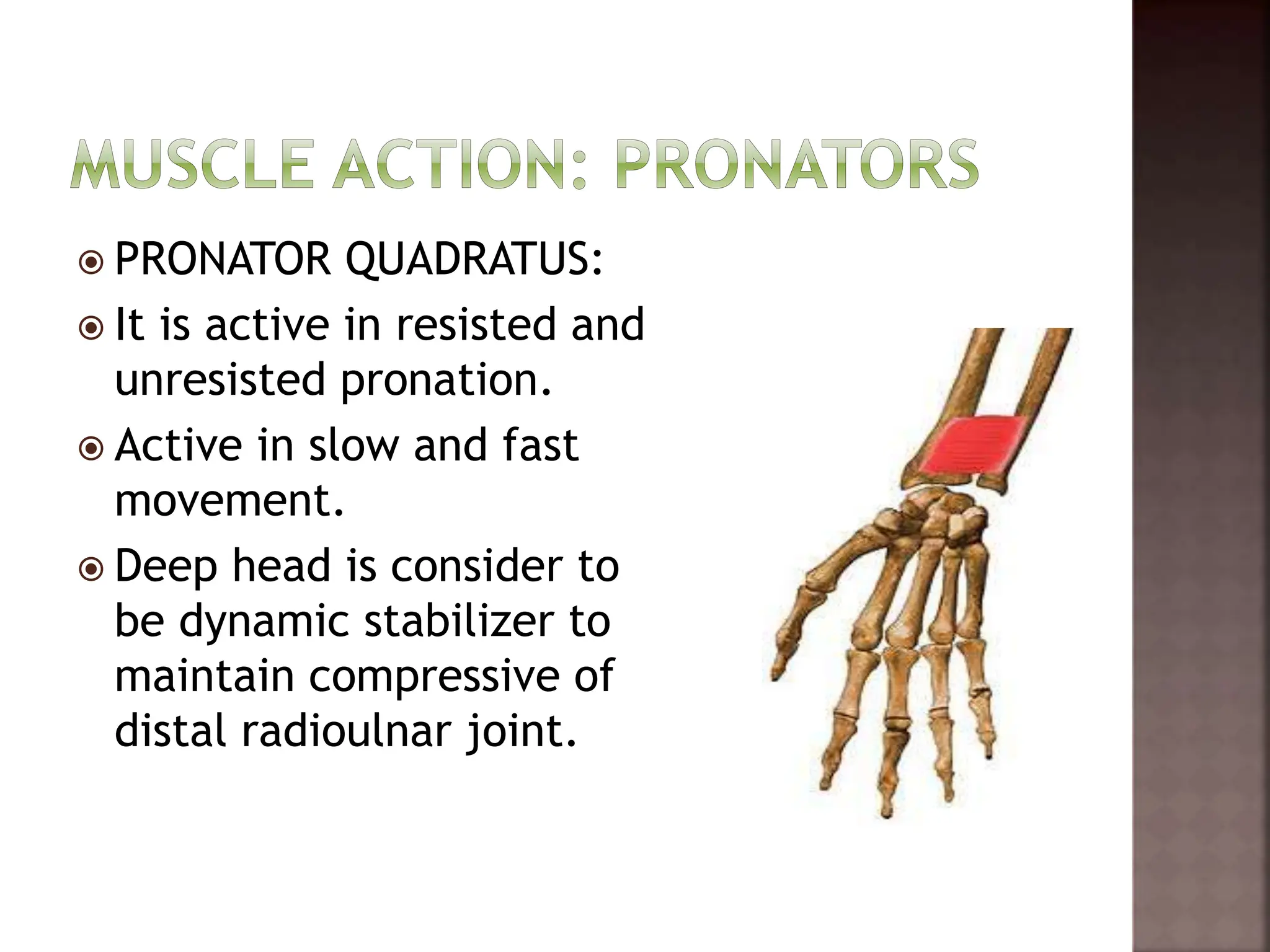 elbow biomechanics.pptx