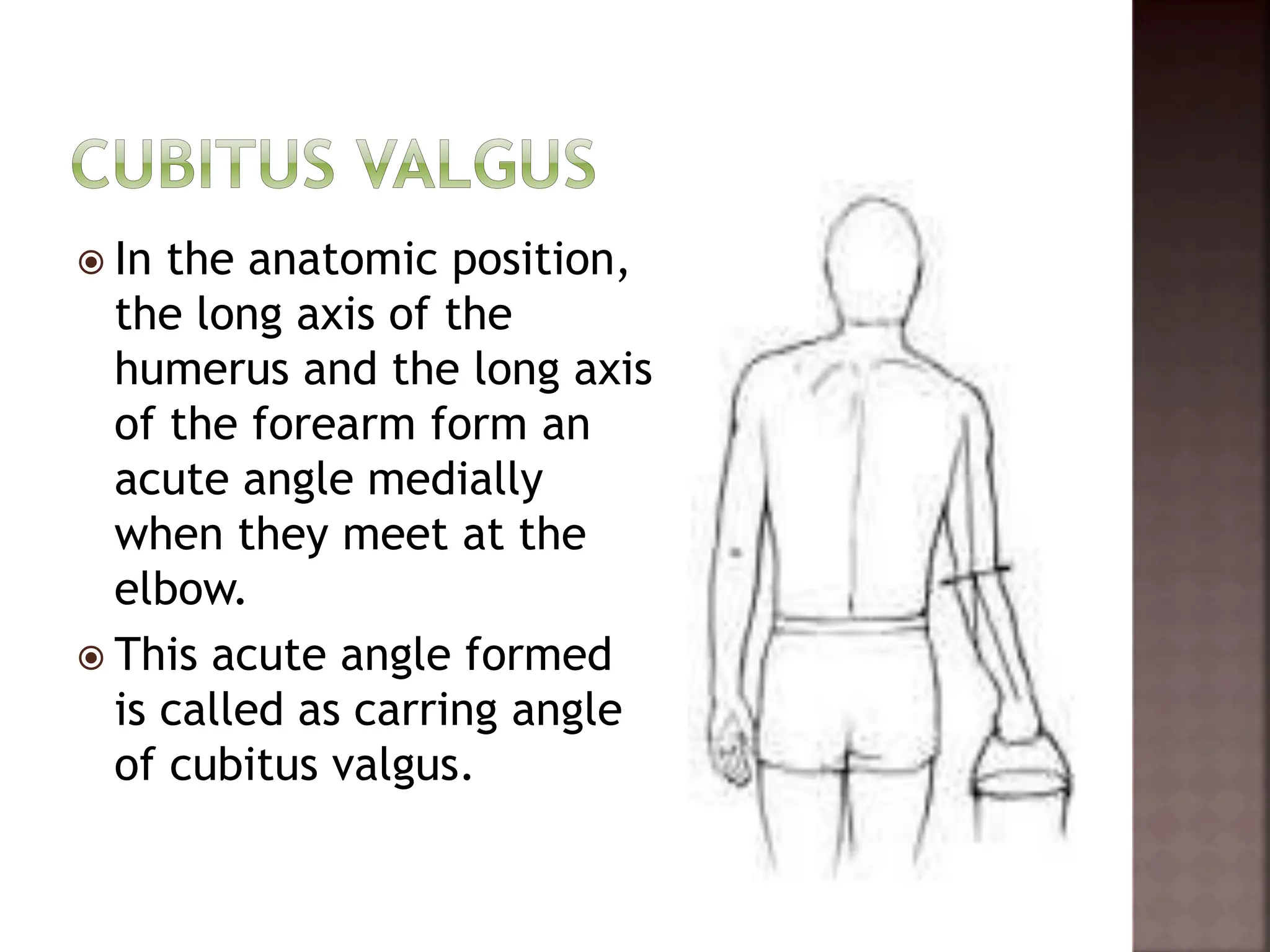 elbow biomechanics.pptx