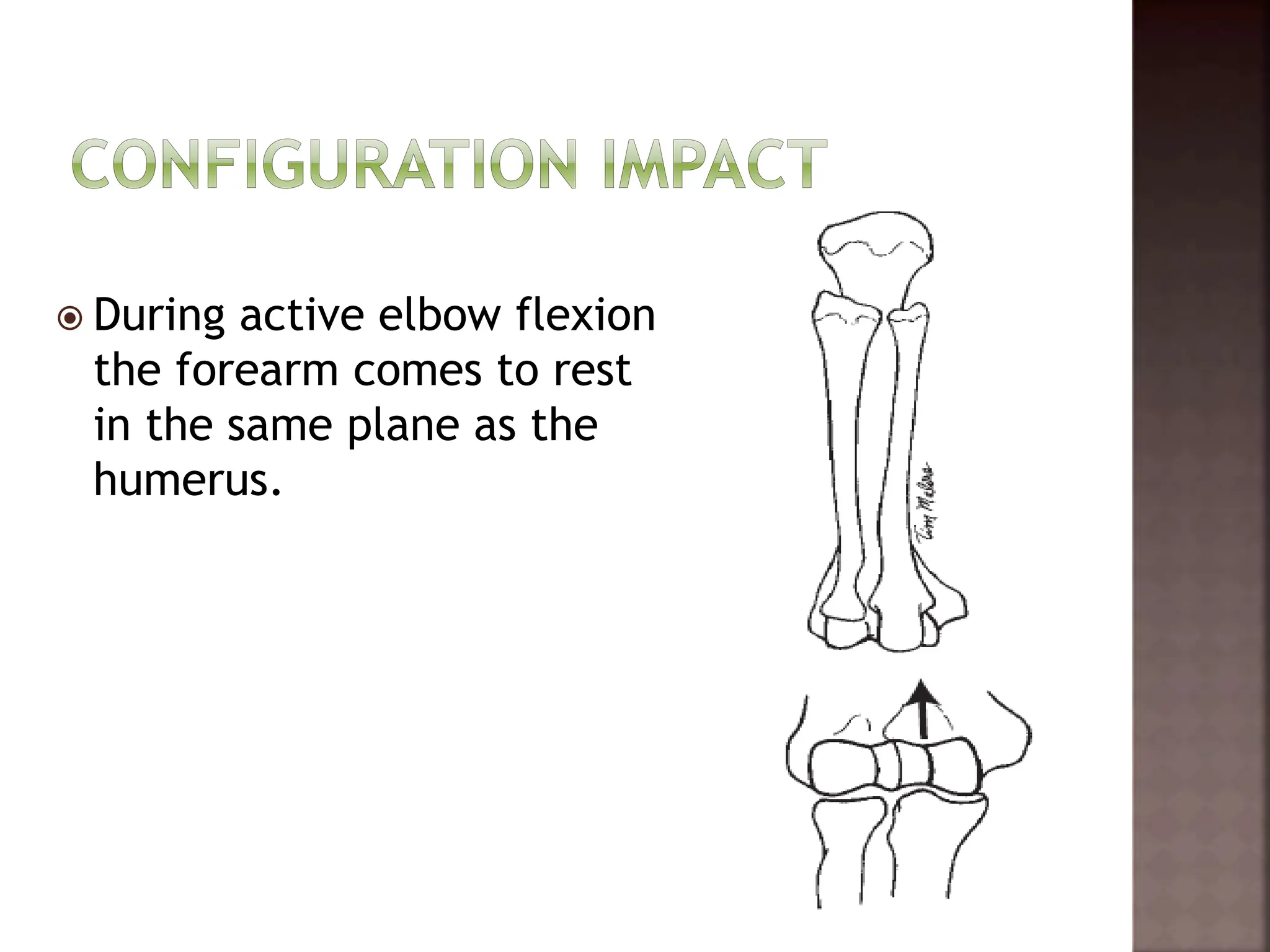 elbow biomechanics.pptx