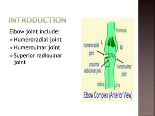 elbow biomechanics.pptx