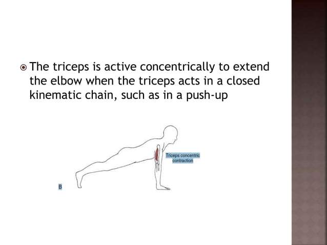 elbow biomechanics.pptx