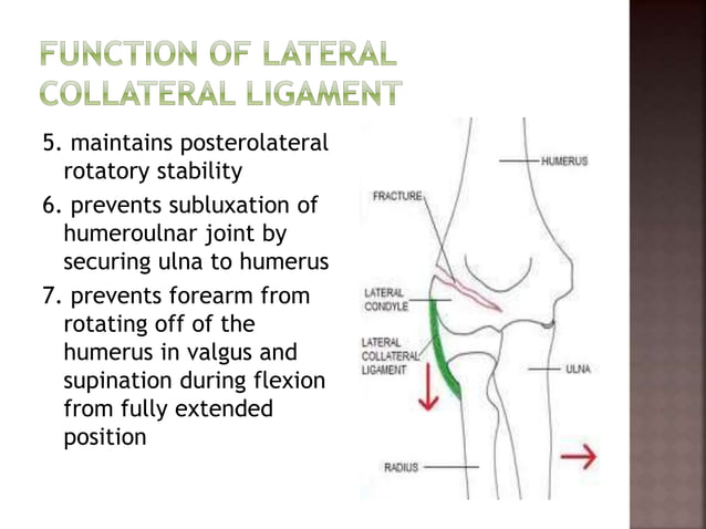 elbow biomechanics.pptx