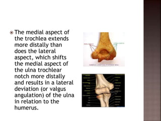 elbow biomechanics.pptx