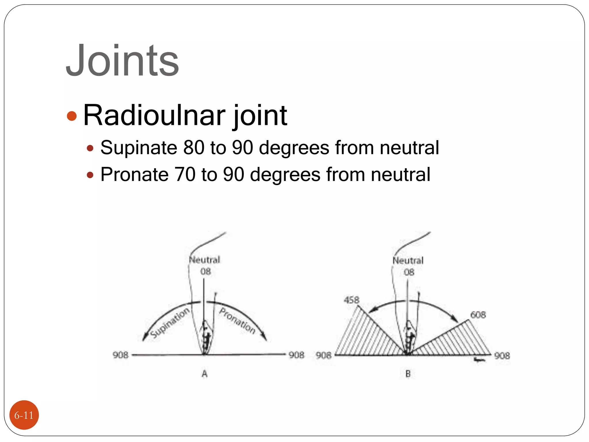 BIOMECHANICS OF ELBOW COMPLEX | PPTX