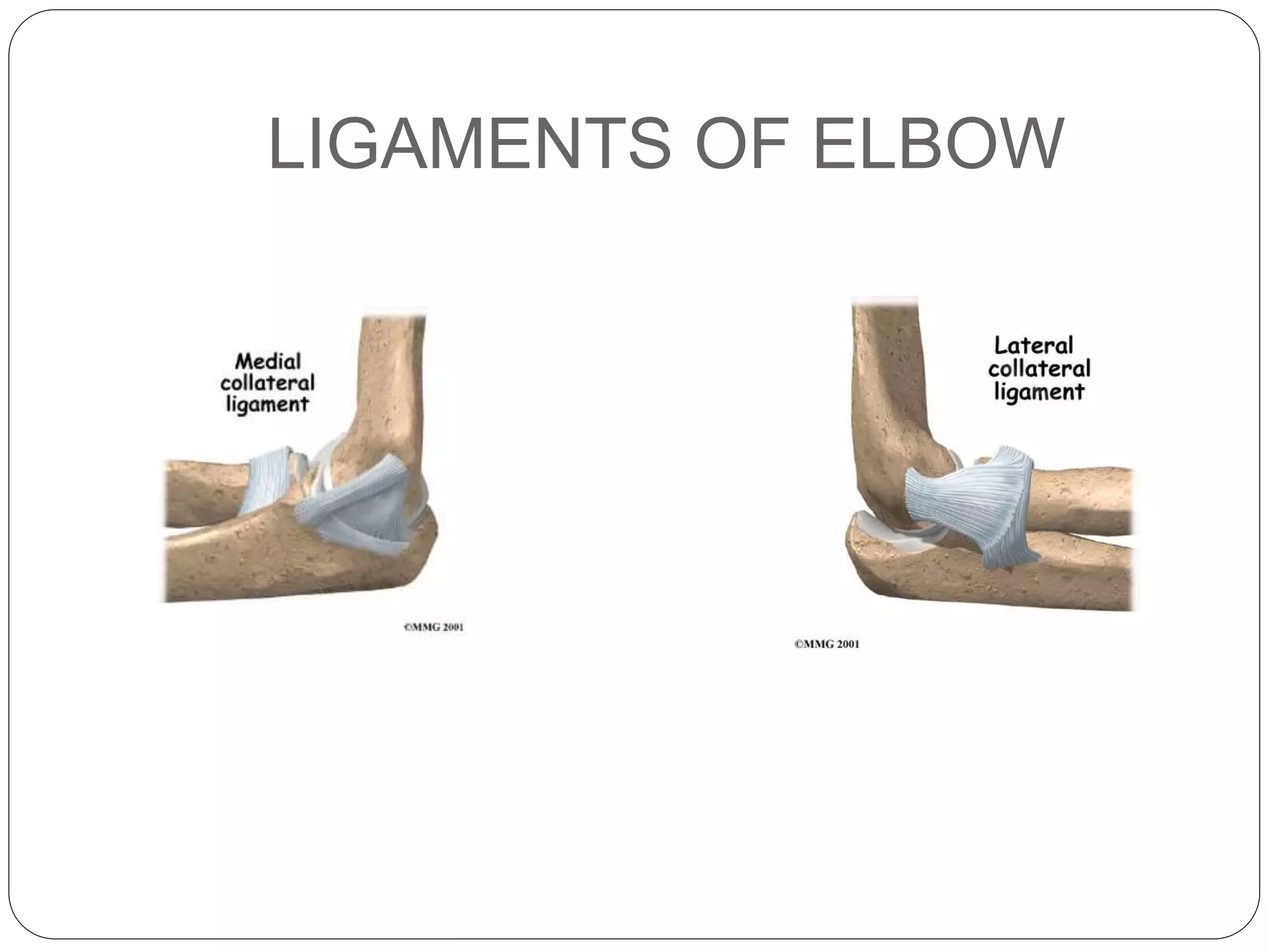 BIOMECHANICS OF ELBOW COMPLEX | PPTX