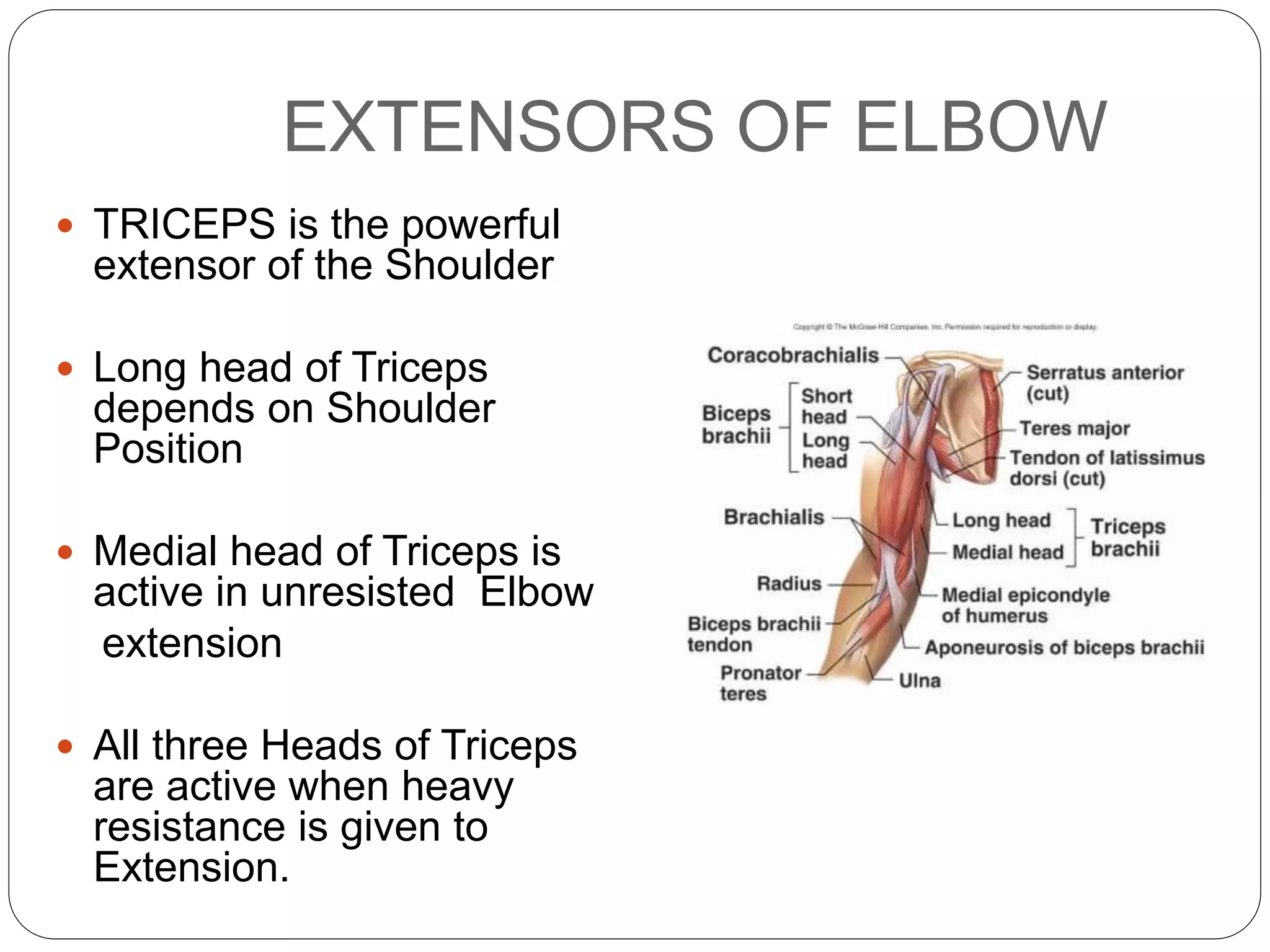 BIOMECHANICS OF ELBOW COMPLEX | PPT
