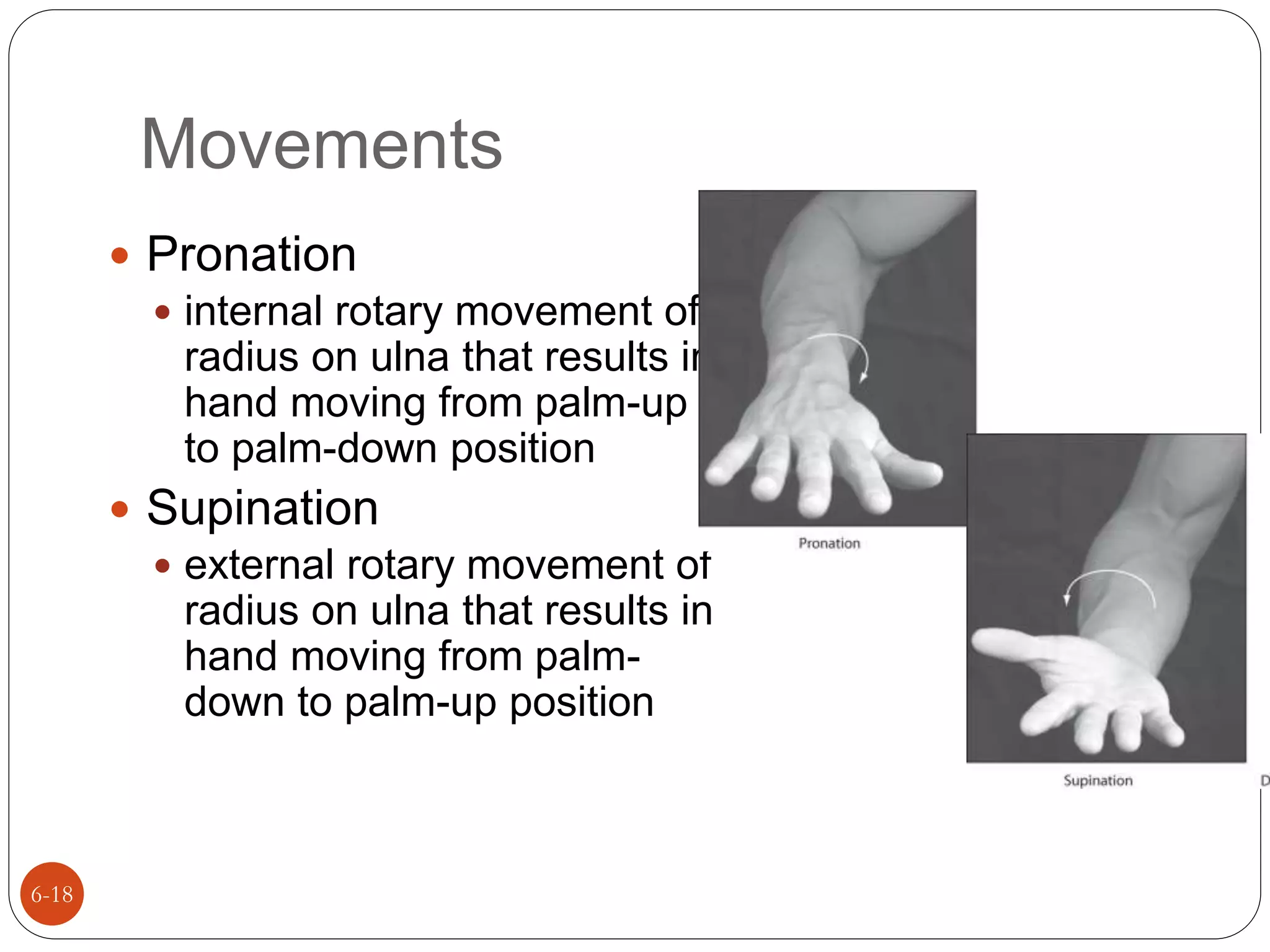 BIOMECHANICS OF ELBOW COMPLEX | PPTX