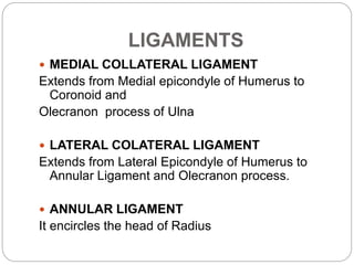 BIOMECHANICS OF ELBOW COMPLEX | PPTX