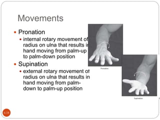 BIOMECHANICS OF ELBOW COMPLEX | PPTX