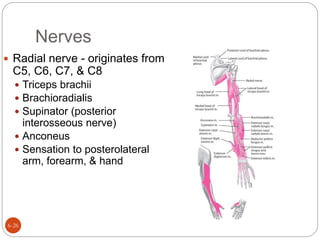 BIOMECHANICS OF ELBOW COMPLEX | PPTX
