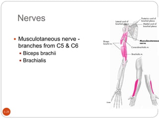 BIOMECHANICS OF ELBOW COMPLEX | PPTX