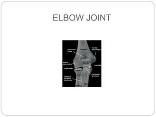 BIOMECHANICS OF ELBOW COMPLEX | PPTX