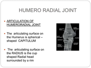BIOMECHANICS OF ELBOW COMPLEX | PPTX