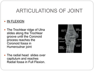 BIOMECHANICS OF ELBOW COMPLEX | PPTX