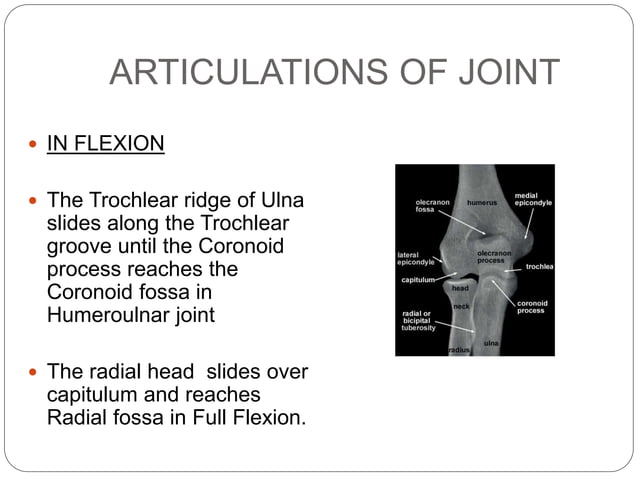BIOMECHANICS OF ELBOW COMPLEX | PPTX | Death, Injury, or Military ...