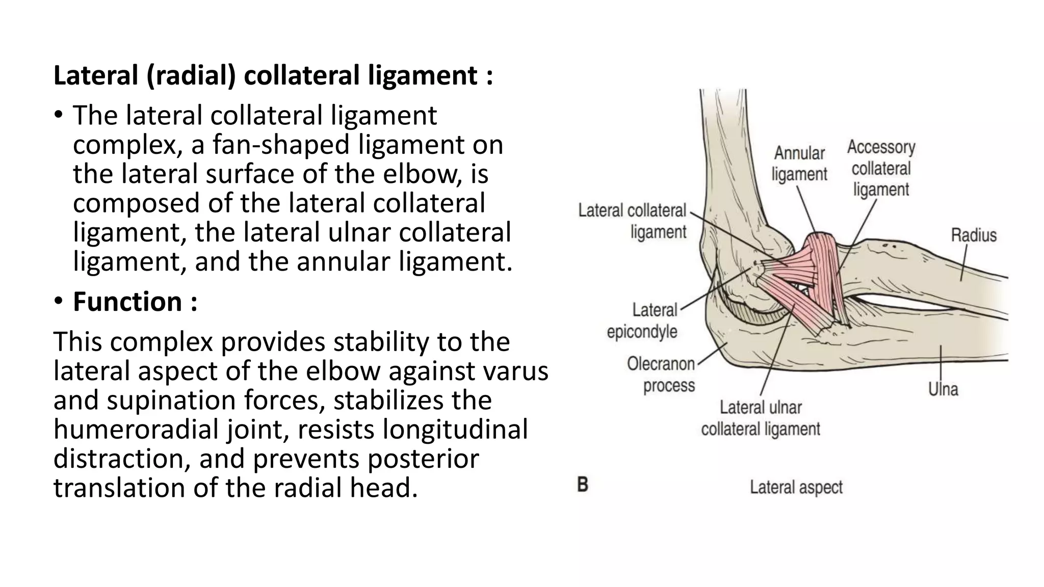 elbow biomechanics and Pathomechanics.pptx