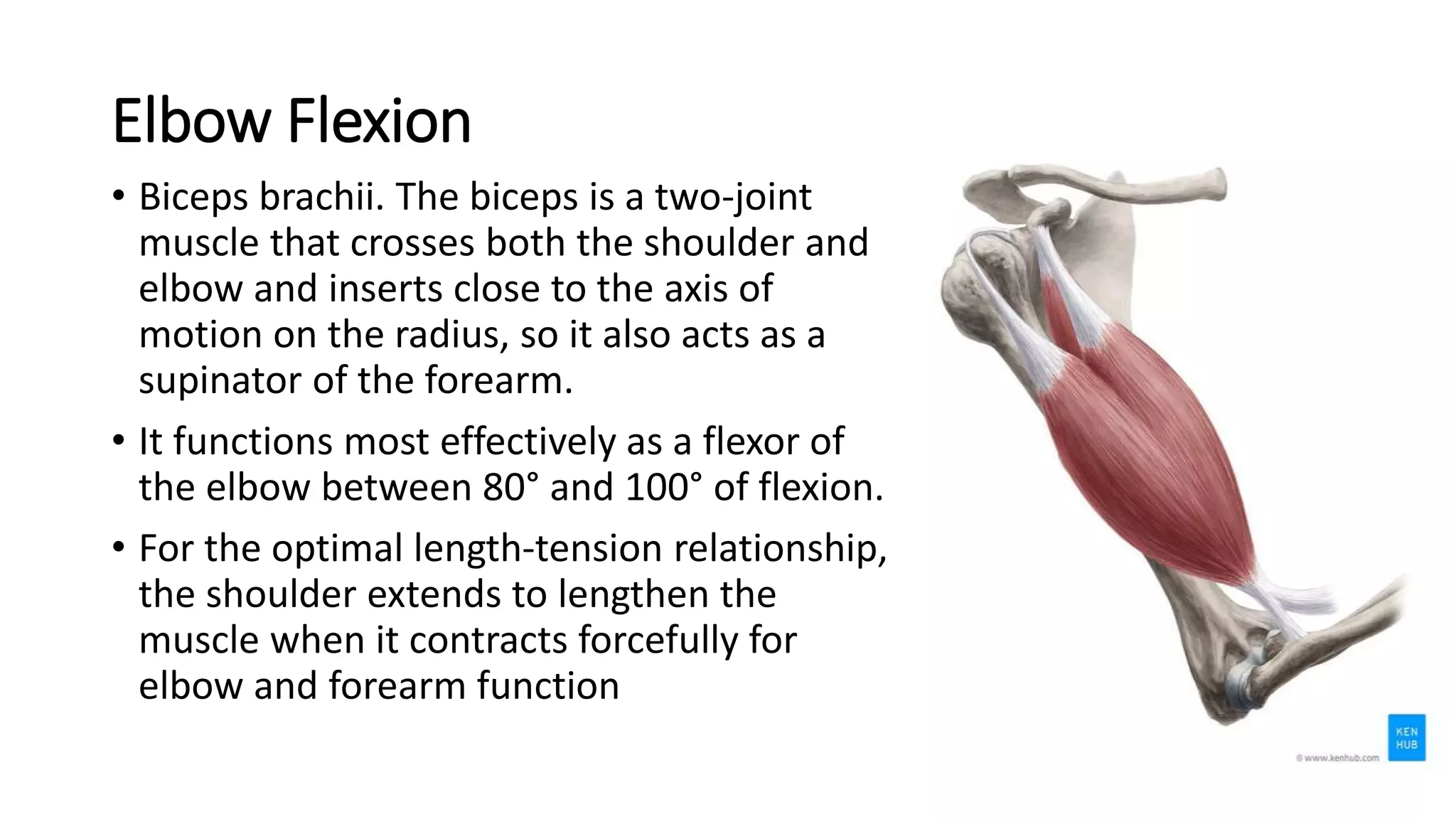 elbow biomechanics and Pathomechanics.pptx